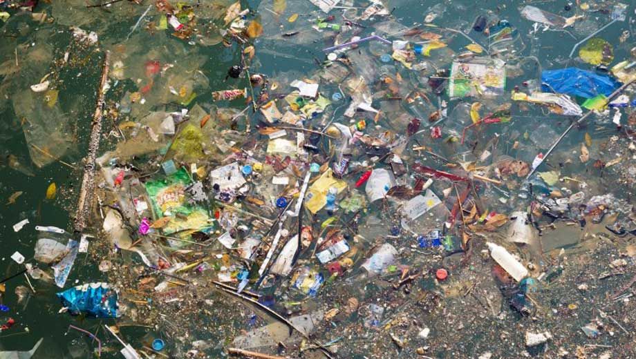 La isla de plástico que flota en el Pacífico - Diario Panorama