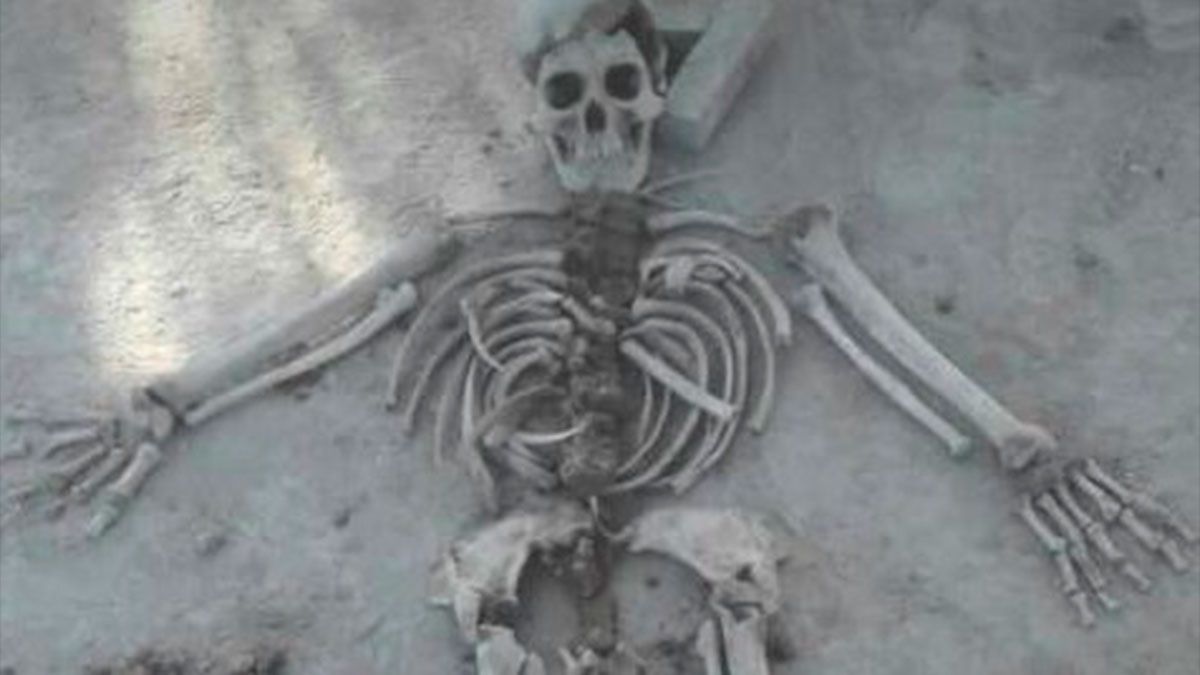 Lugareños hallaron restos óseos en cercanías a Icaño - Diario Panorama