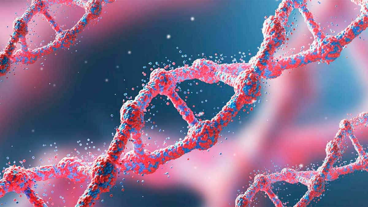 Científicos lograron secuenciar por primera vez el genoma completo de un ser humano - Diario ...