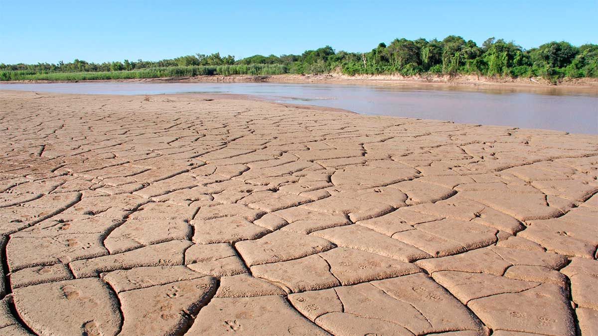 La ONU advierte: La sequía está a punto de convertirse en la próxima ...