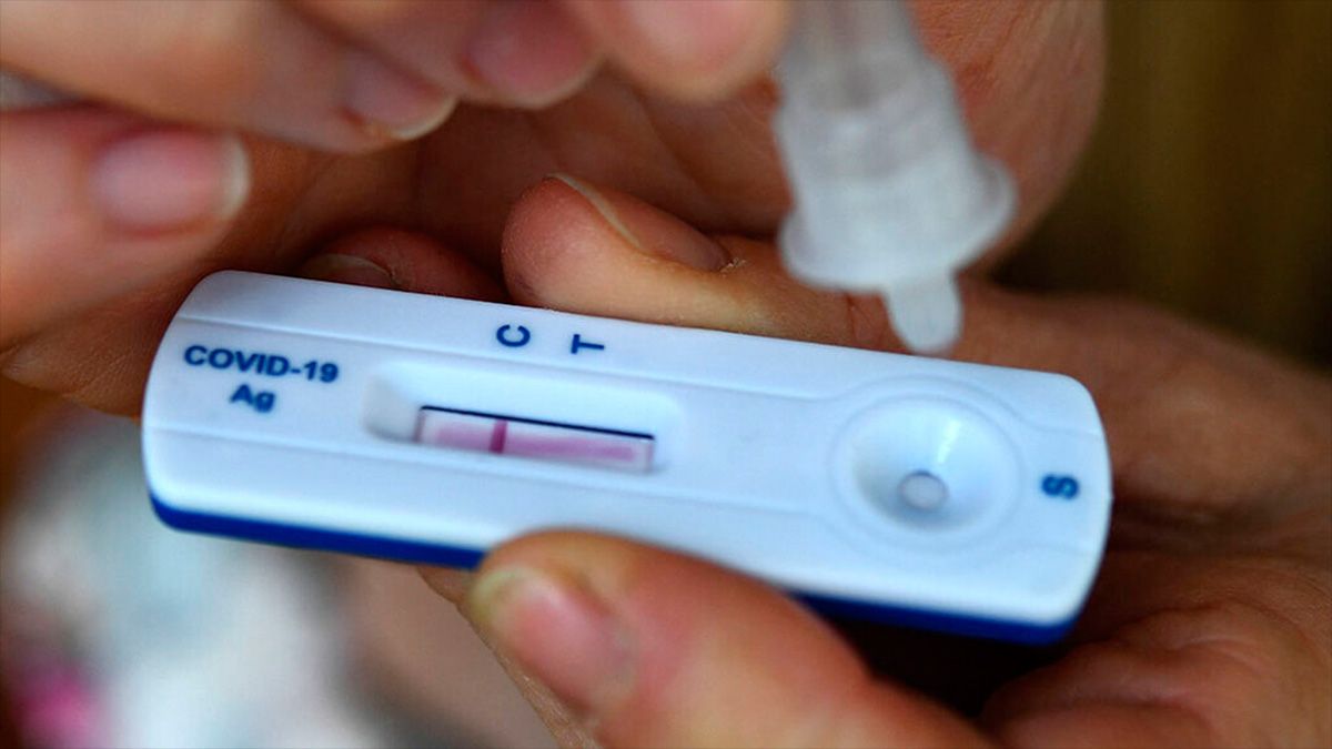 Las principales dudas sobre el autotest y la diferencia con el PCR ...
