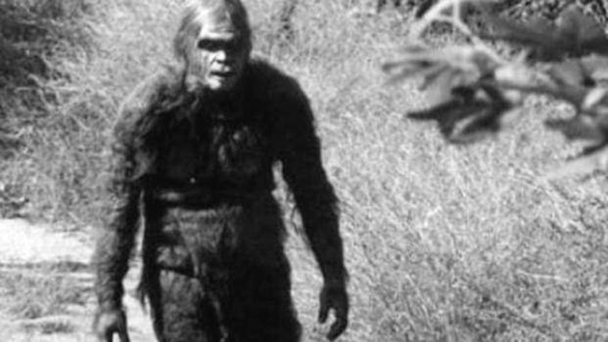 Apareció el “Ucumar” en Salta y los vecinos están horrorizados - Sabelo