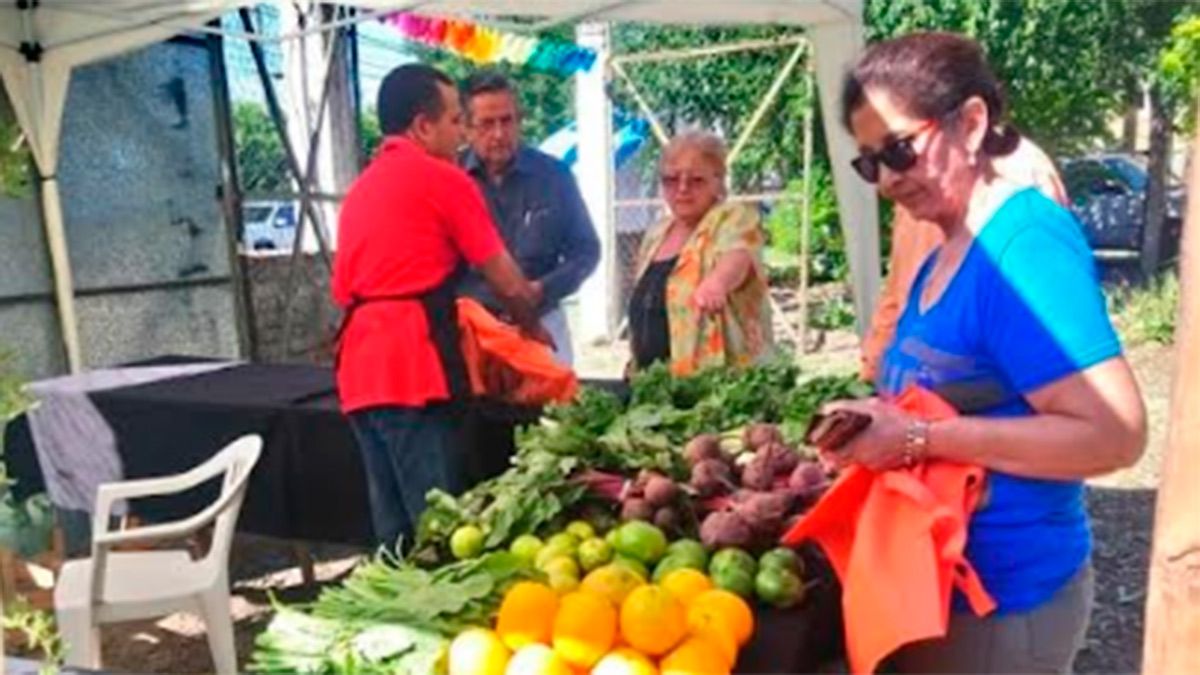 La Municipalidad junto al INTA organizan este viernes una feria de ...