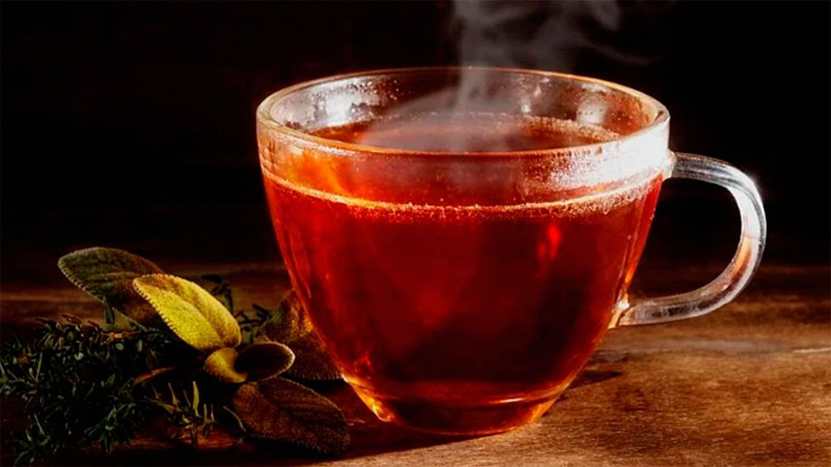 Los múltiples beneficios de tomar té negro - Diario Panorama