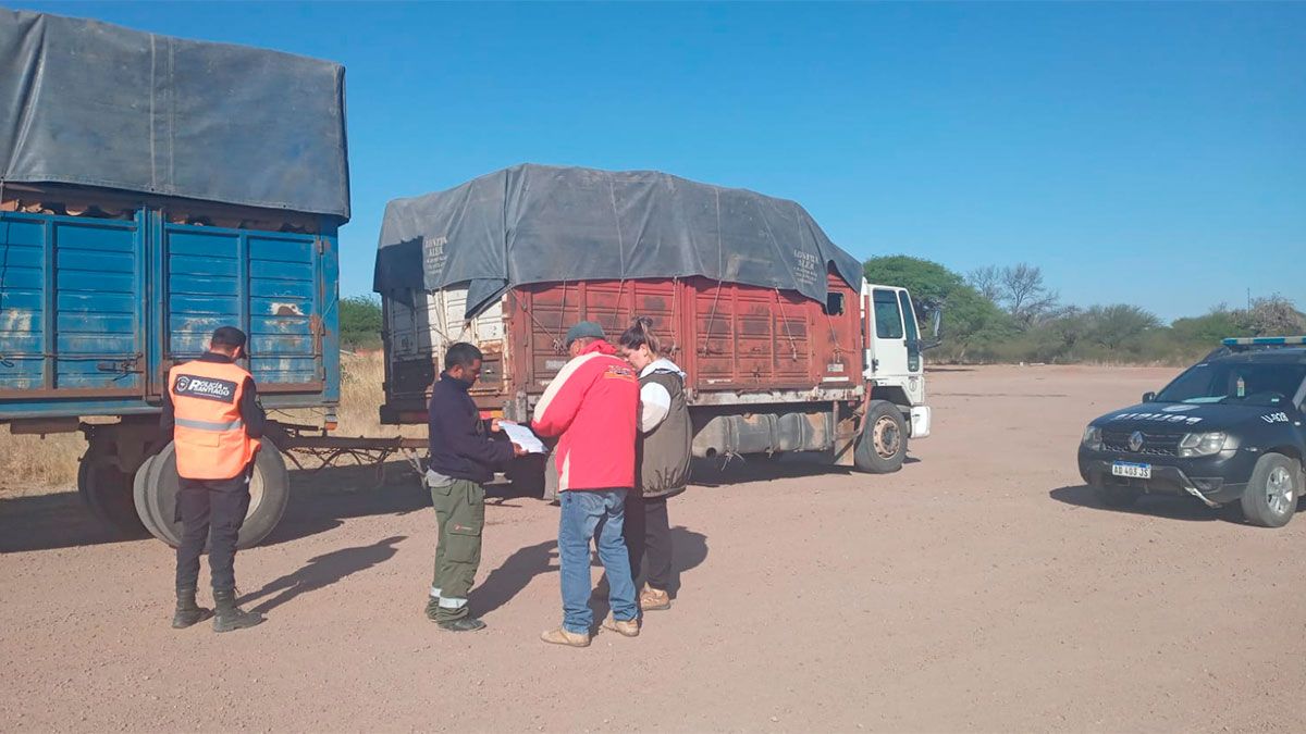 Un camionero se resistió al secuestro de su carga y fue demorado por la ...