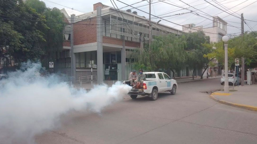 Cómo se implementará el programa de fumigaciones en la Capital para ...