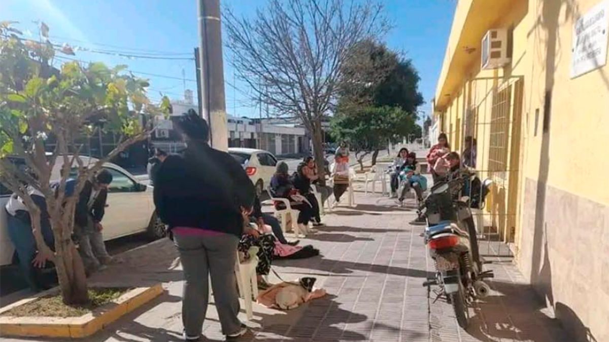 Clodomira superó las 400 castraciones gratuitas en menos de un año ...