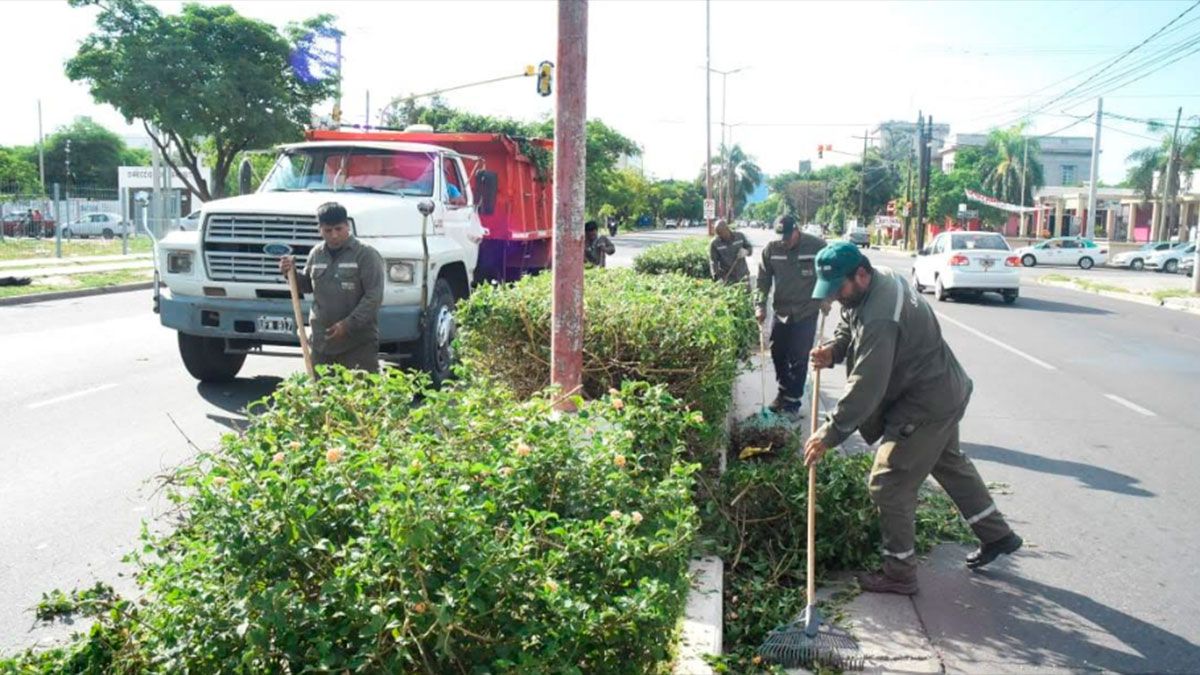 Parques y Paseos trabajó en el mantenimiento de la platabanda de la ...