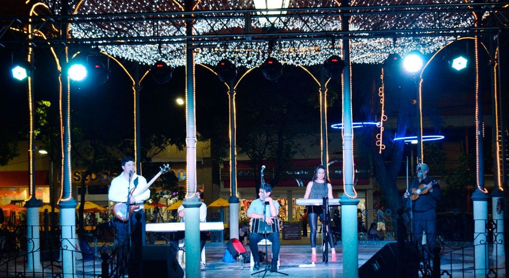 Se realizará un show de música en vivo por el Día Nacional de las Personas Músicas - Diario Panorama