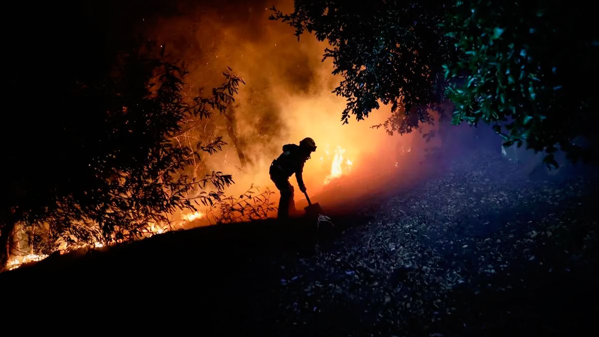 Es dramática la situación en Chile por los incendios forestales: ya hay ...