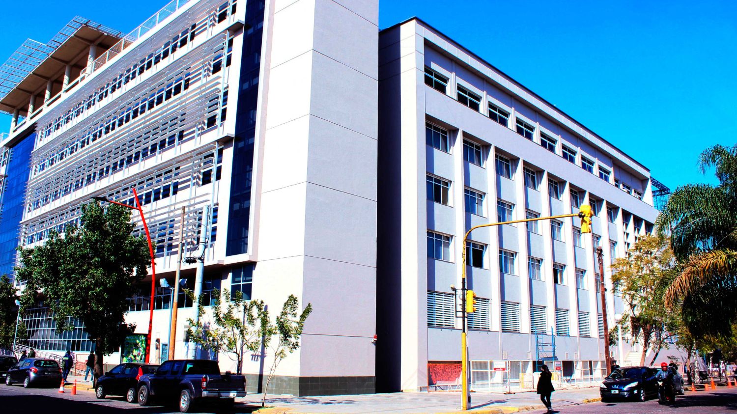 Declararon inhábil el 2 de marzo para el cómputo de los plazos ...