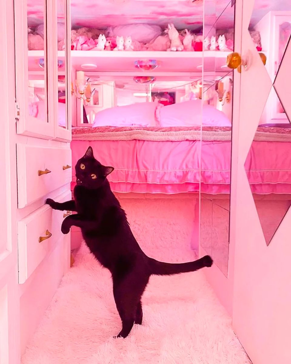 Transformó su casa rodante en la réplica de la Starlight de Barbie ...