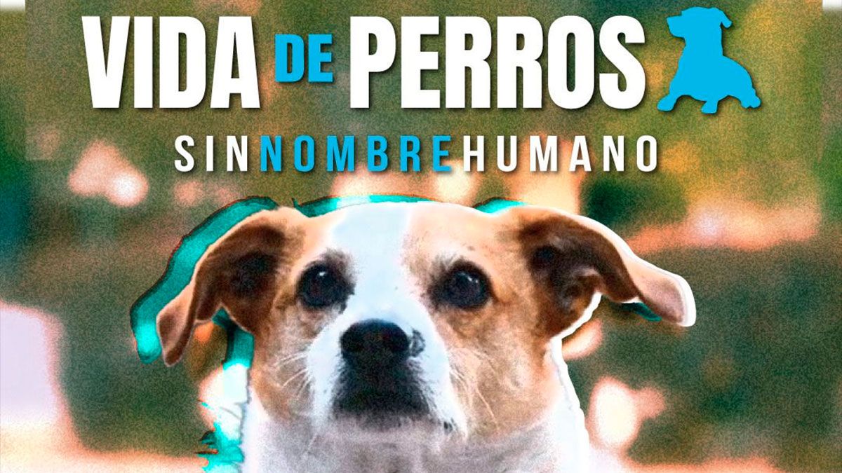 La Mostra Visual proyectará el documental Vida de Perros ...