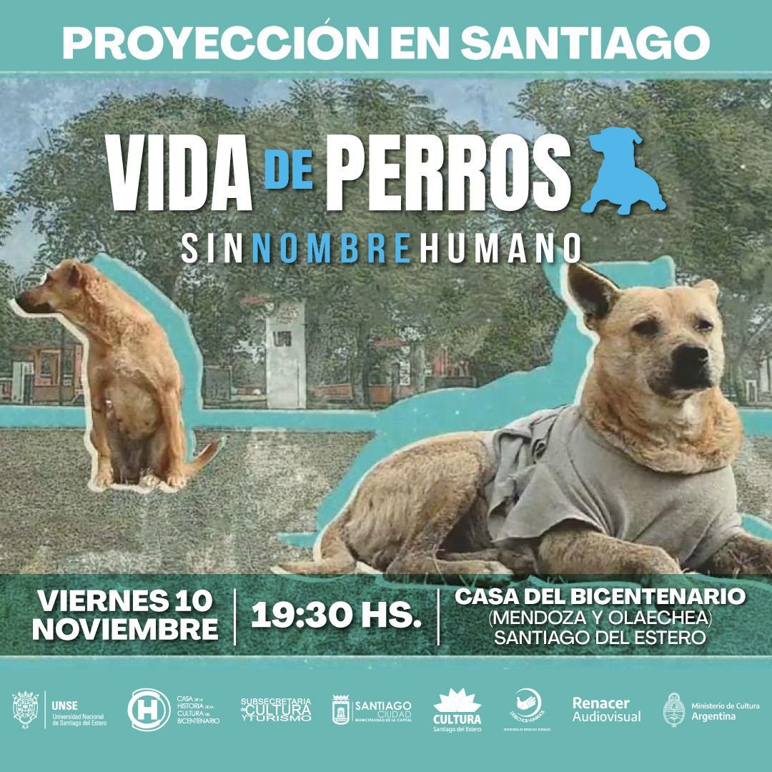 Invitan a la proyección de Vida de Perros, Sinnombrehumano - Diario ...