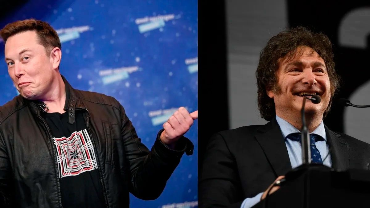 Elon Musk compartió una entrevista a Milei y el presidente electo le ...