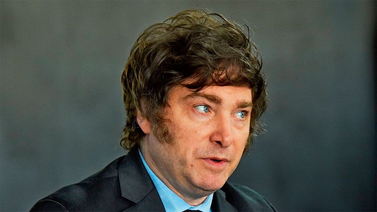 Milei: Estamos trabajando a brazo partido para evitar la crisis ...