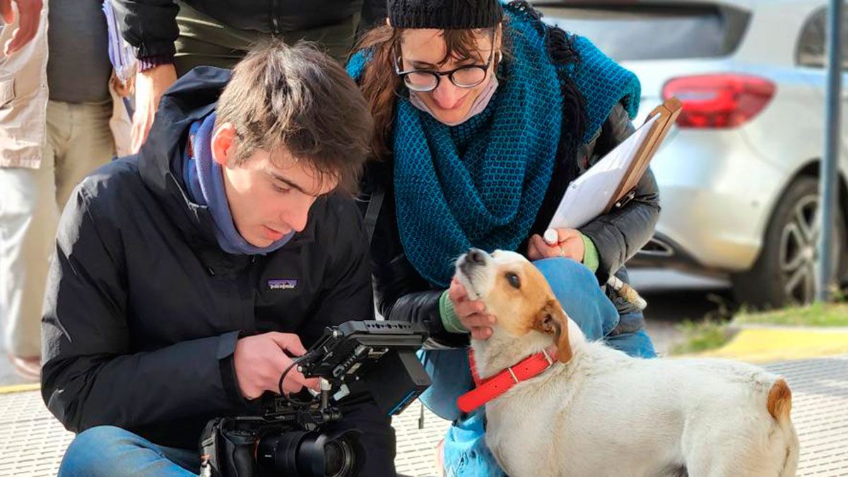 La Mostra Visual proyectará el documental Vida de Perros ...