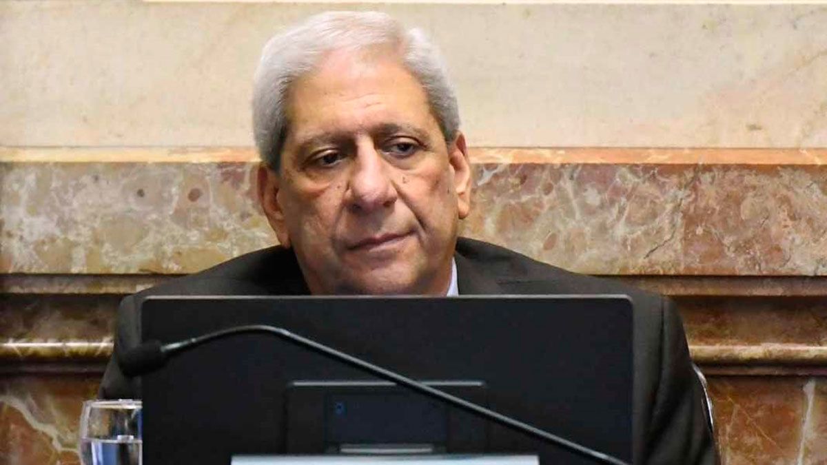 Neder: La Ley Bases es inconsistente y carece de sentido social ...